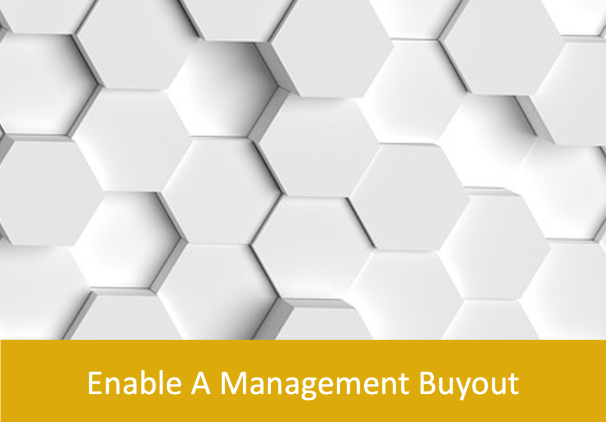 Enable A Management Buyout - Radialis Pte. Ltd.